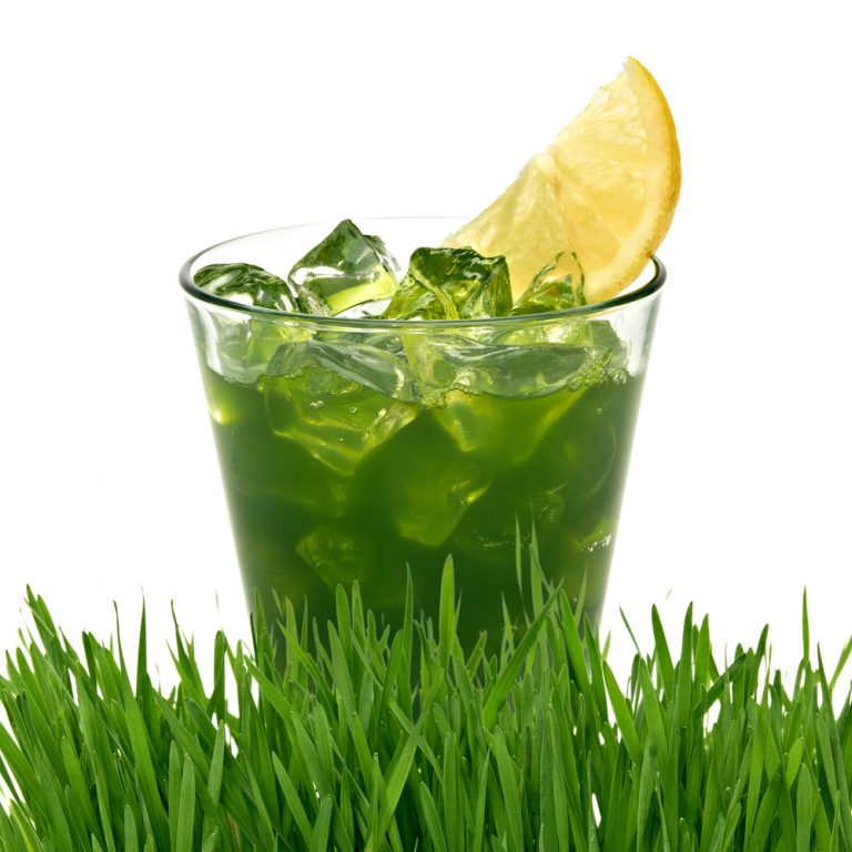 Wheatgrass powder benefits.Organic Wheatgrass powder for health ...